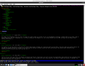 Raspberry Pi - Im Internet surfen - Developer-Blog